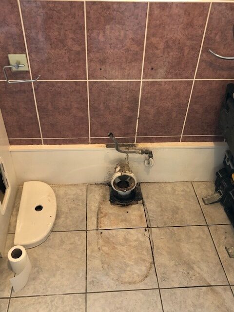 Mr McLean's Liberty Essence & Raised Toilet Adaption, Rhyl - Freedom ...